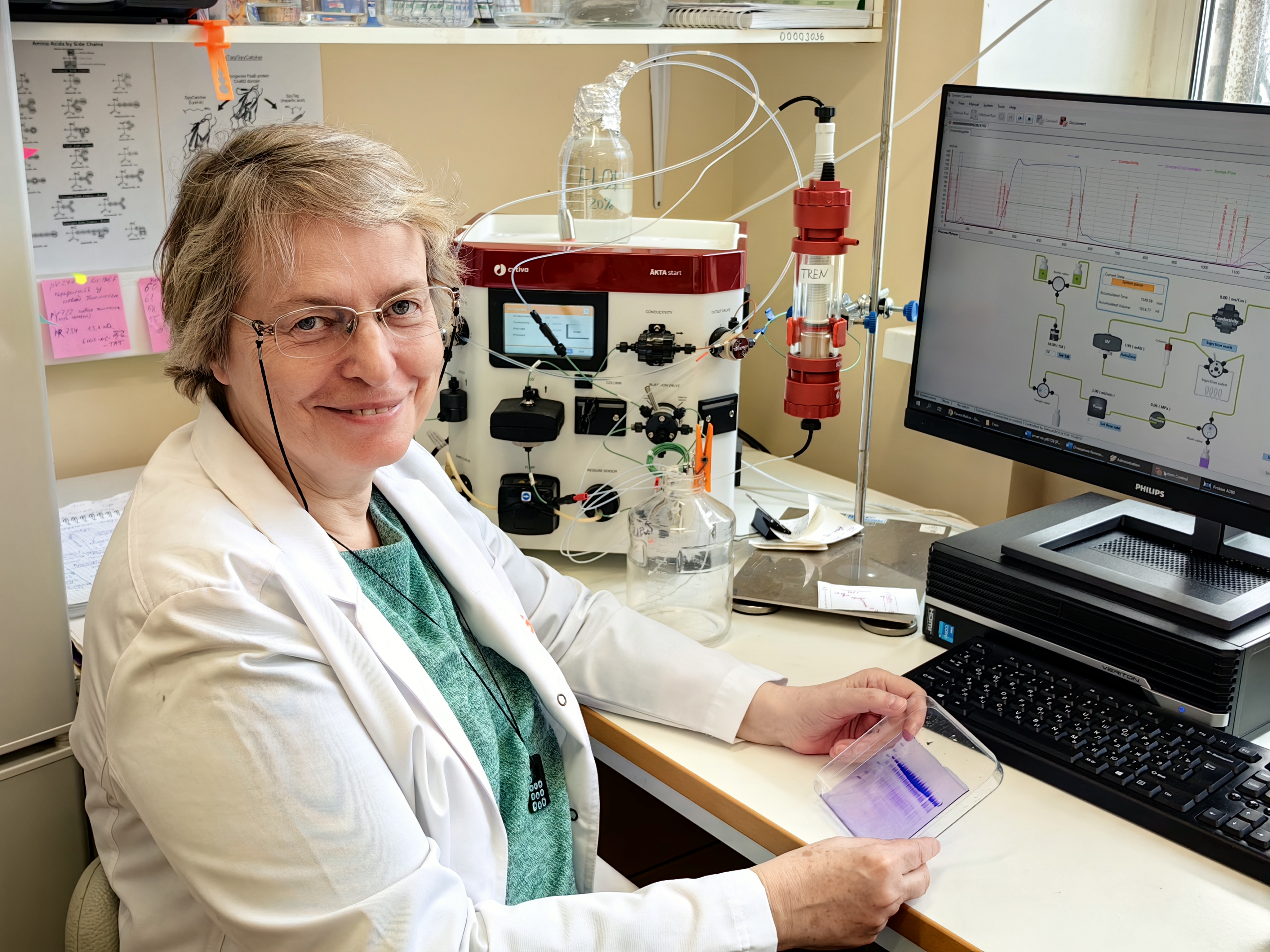 Russian scientists find a way to protect bone implants from microbes ...